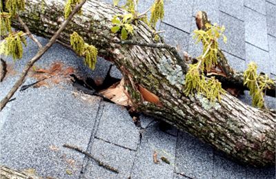 Winter Storm Damage: What to Check after the Storm - Fencemakers