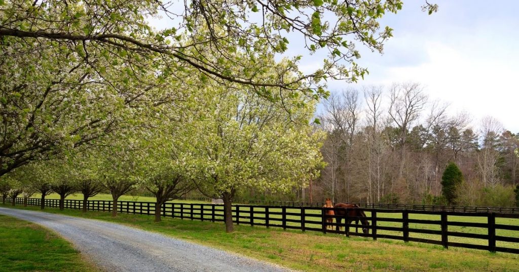 5 Different Fencing Styles | Fencing Styles Australia